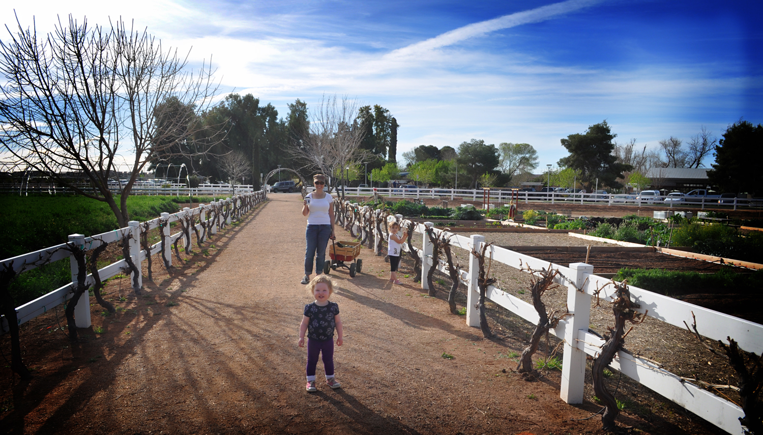 Welcome to the agrihood, home of the suburban farmer